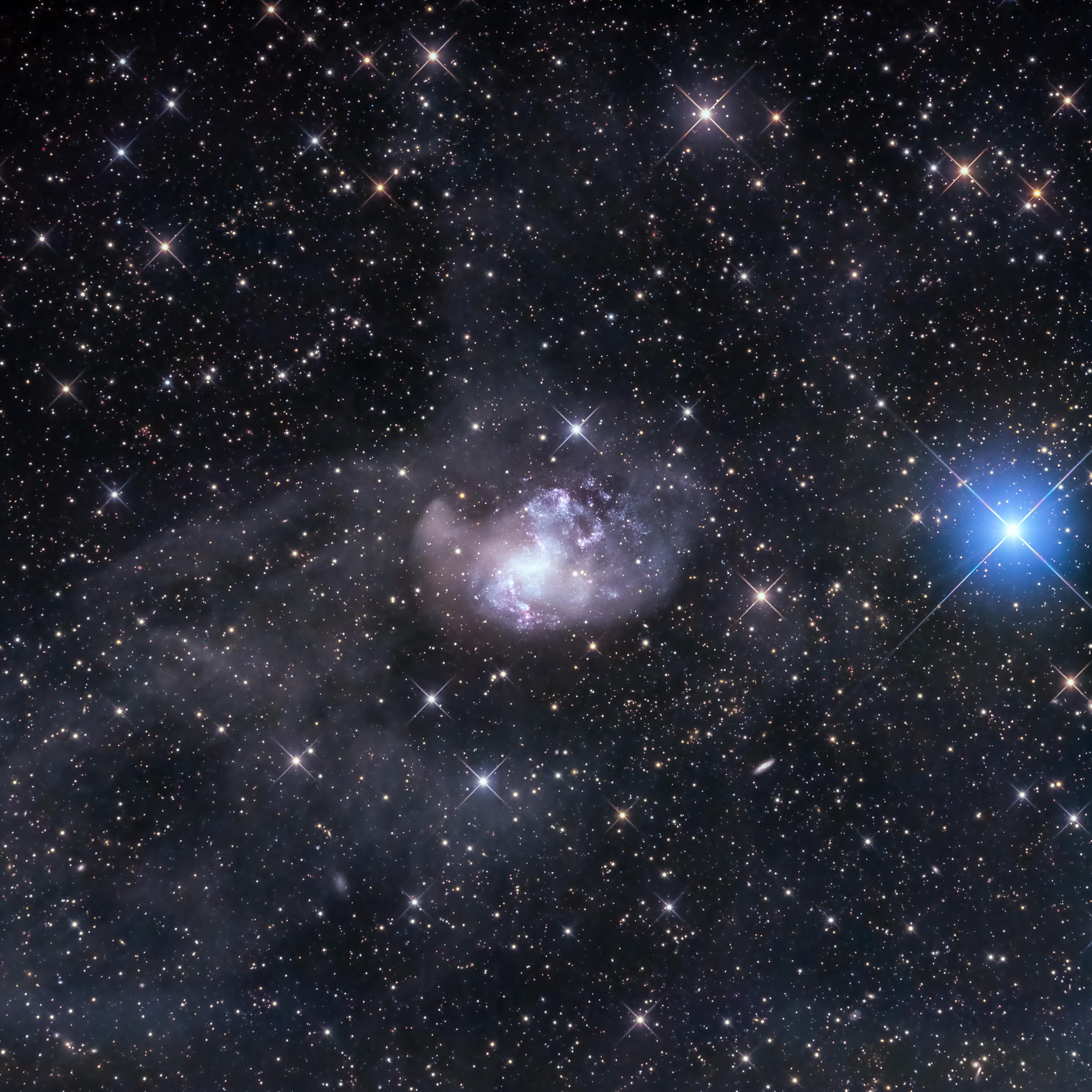 NGC 1313 | Telescope Live