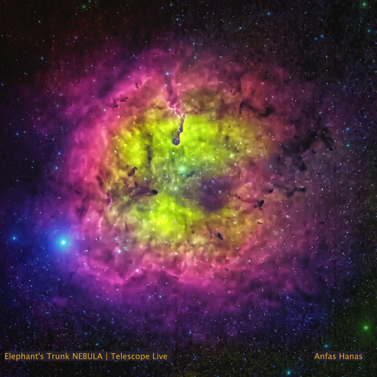 ELEPHANT'S TRUNK NEBULA | Telescope Live