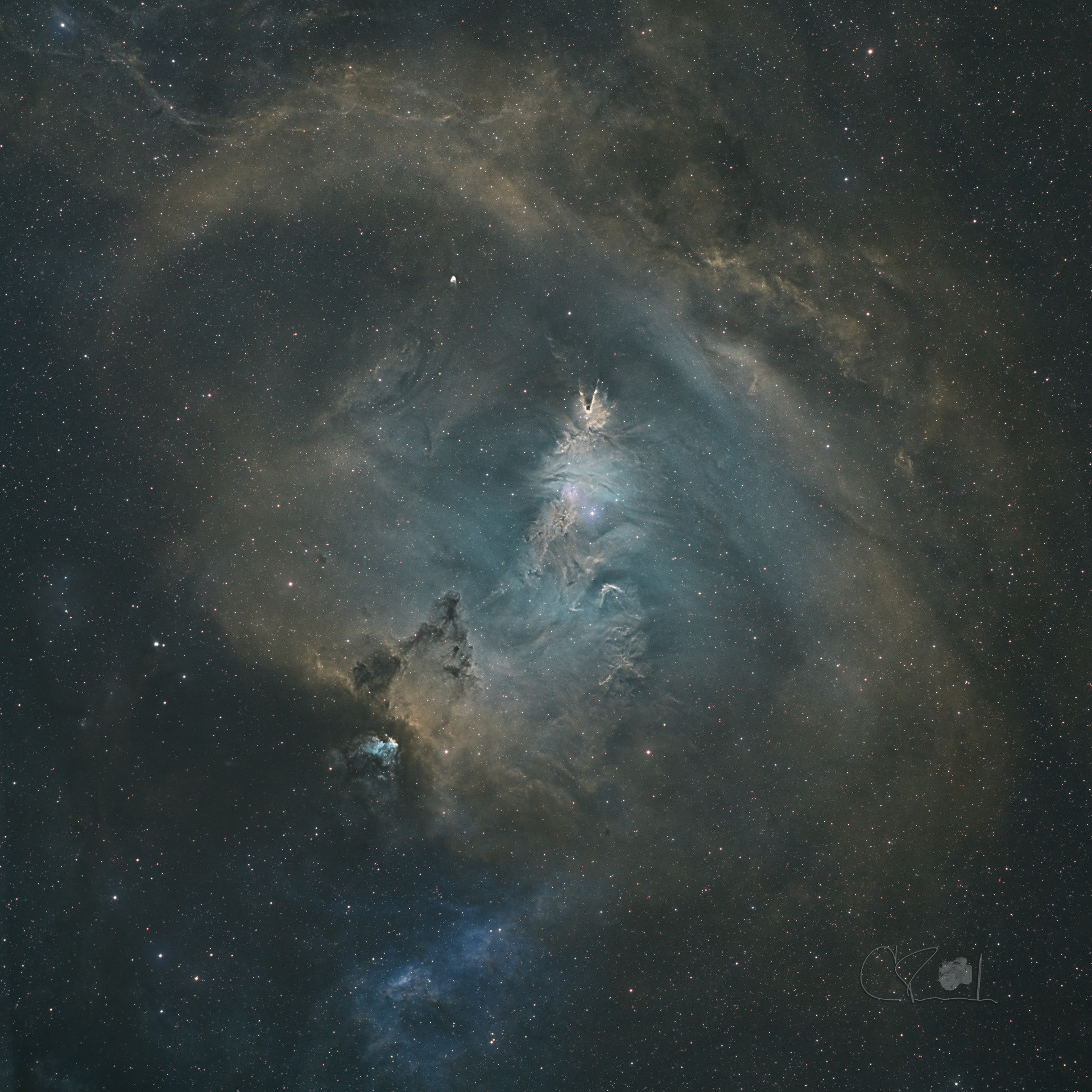 NGC 2264 | Telescope Live