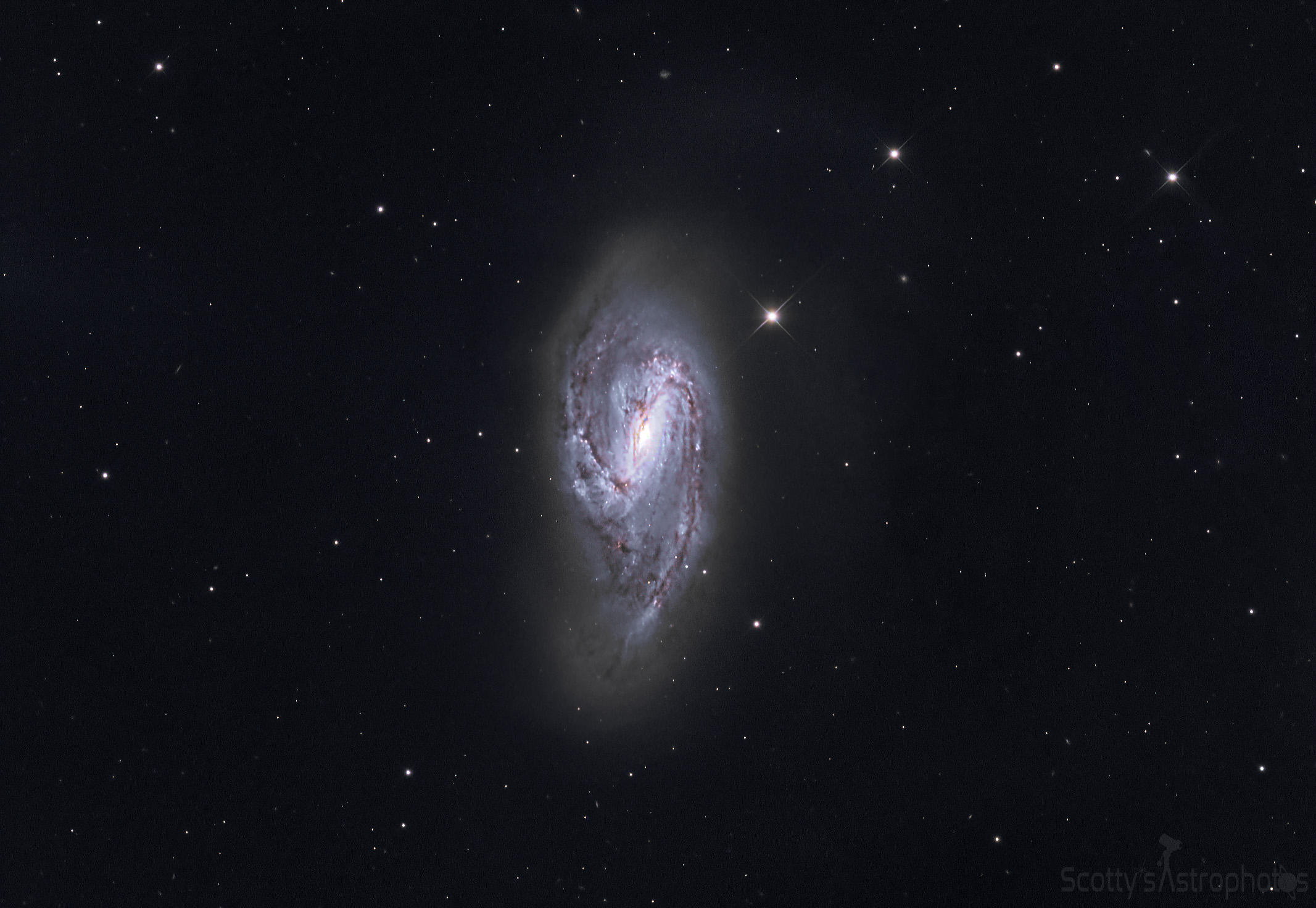 Messier 66 | Telescope Live