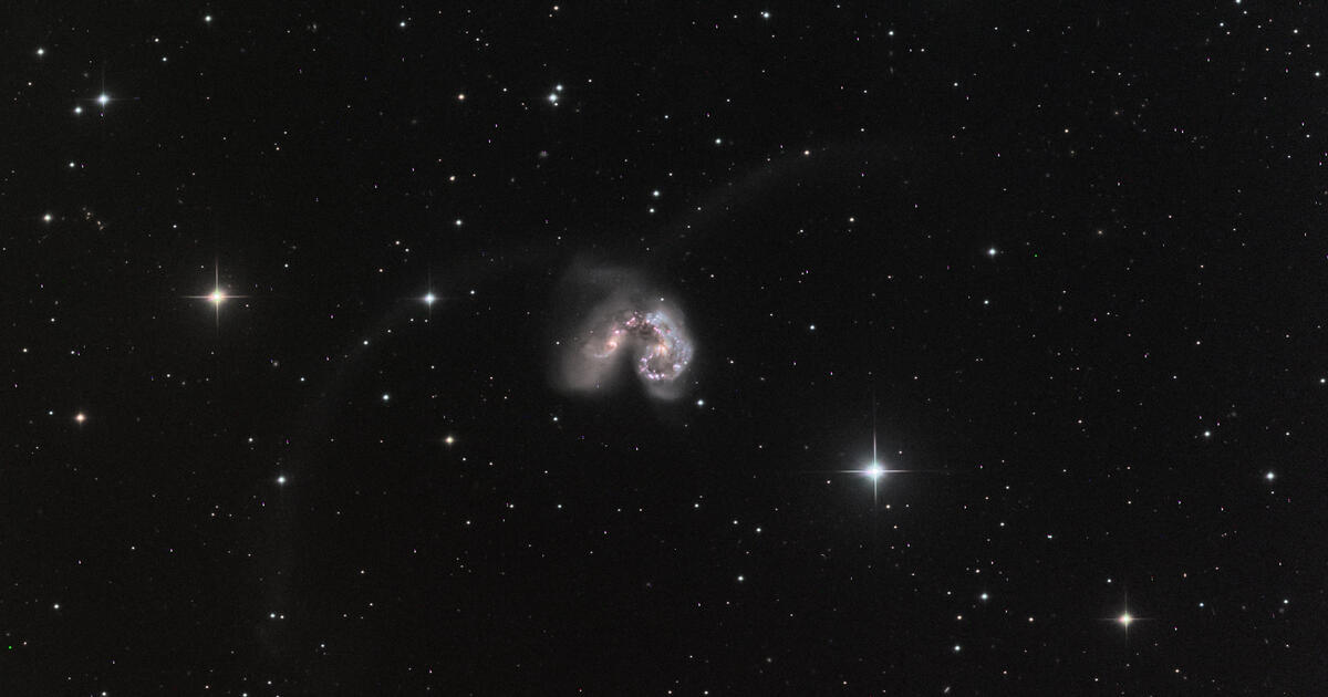 NGC 4038 | Telescope Live