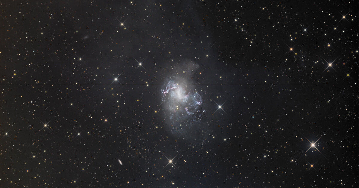 NGC 1313 | Telescope Live