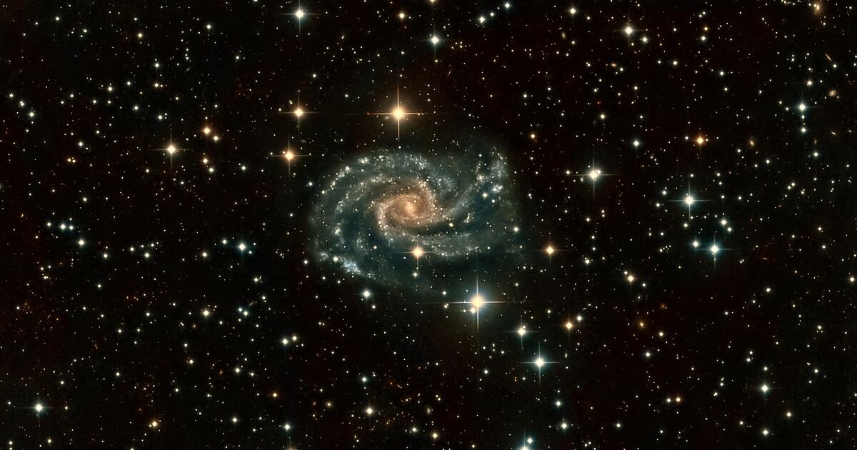 NGC 2835 | Telescope Live