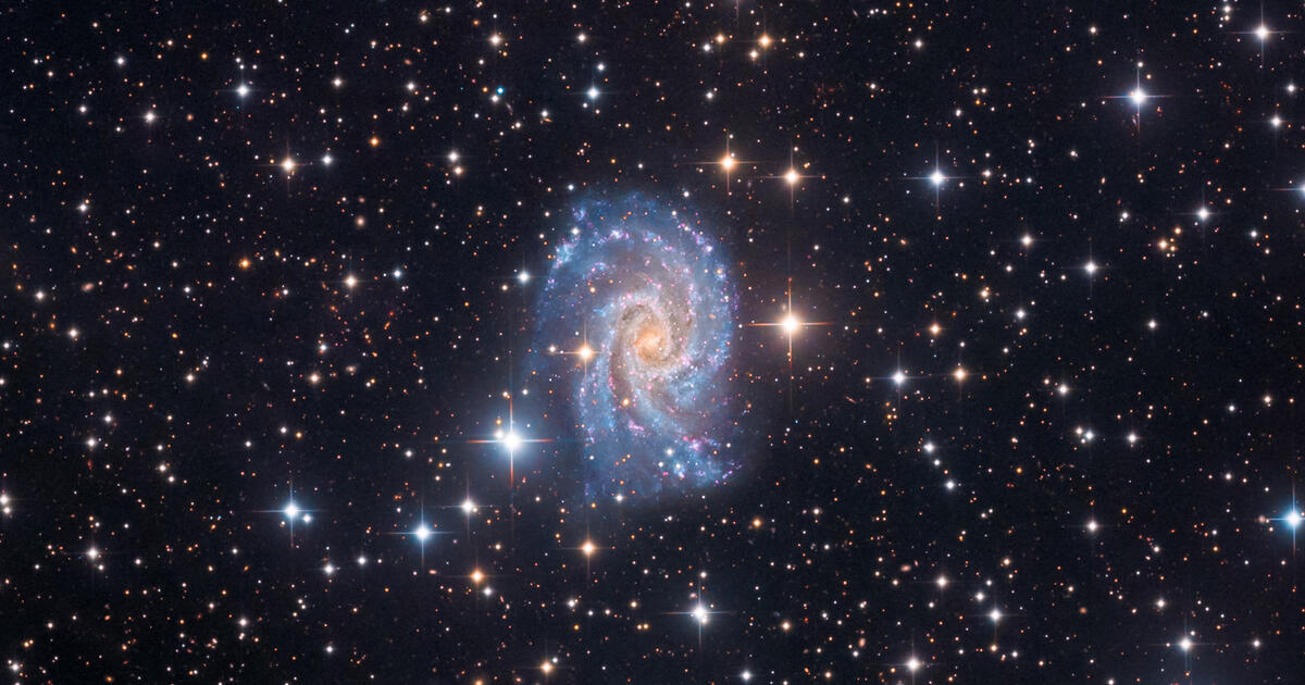 NGC 2835 | Telescope Live