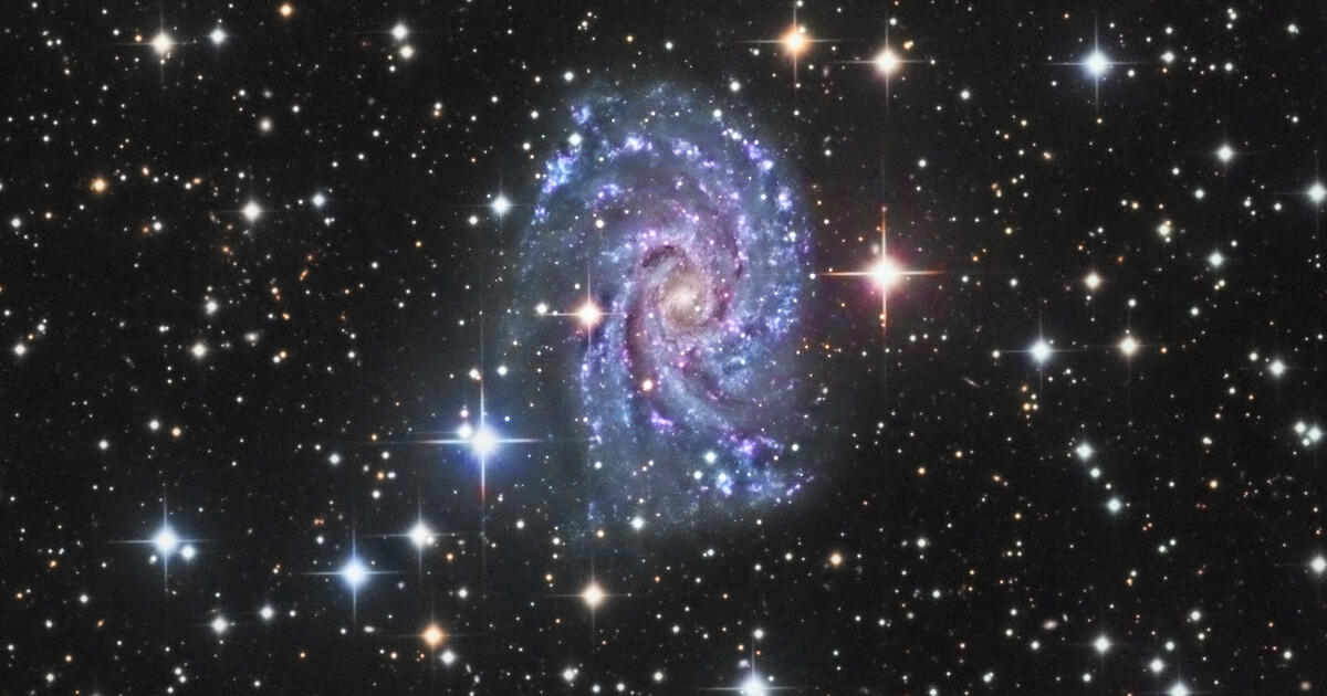 Intermediate spiral galaxy NGC 2835 | Telescope Live