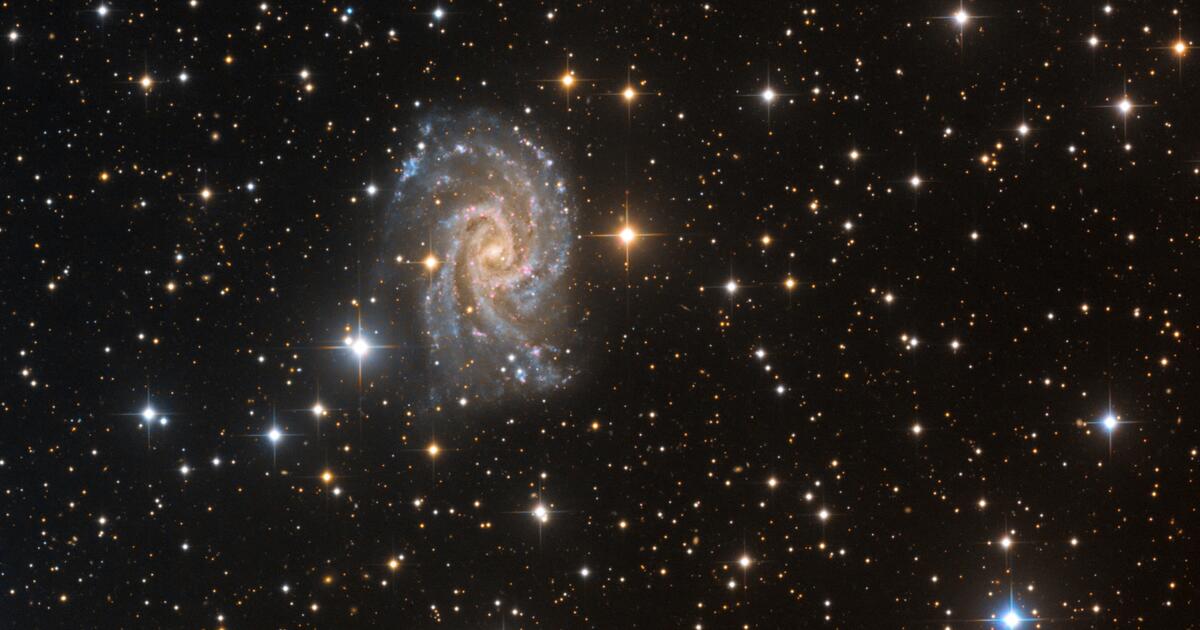 NGC 2835 | Telescope Live