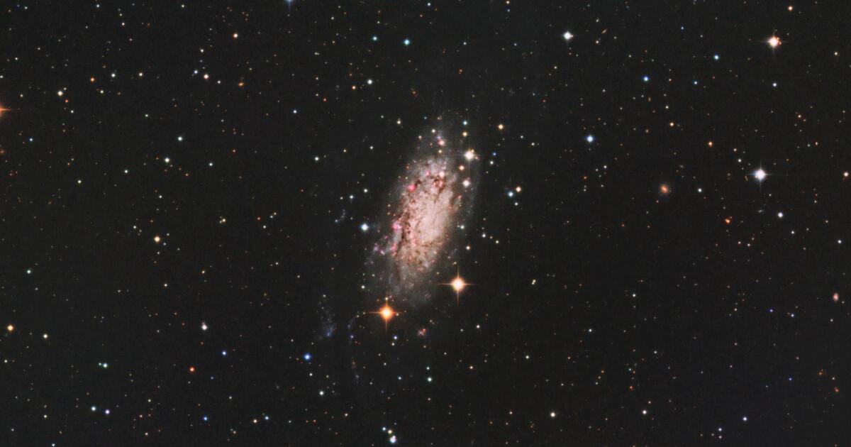 NGC 3621 | Telescope Live