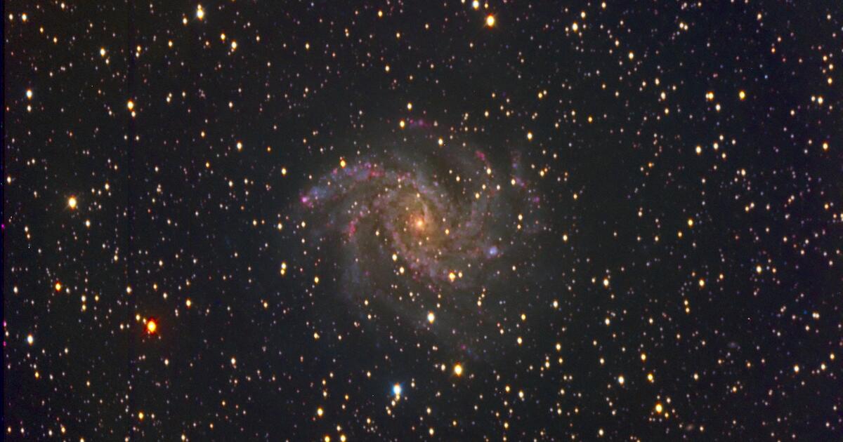 NGC 6946 | Telescope Live