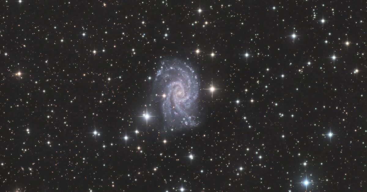 NGC 2835 Pro Dataset | Telescope Live