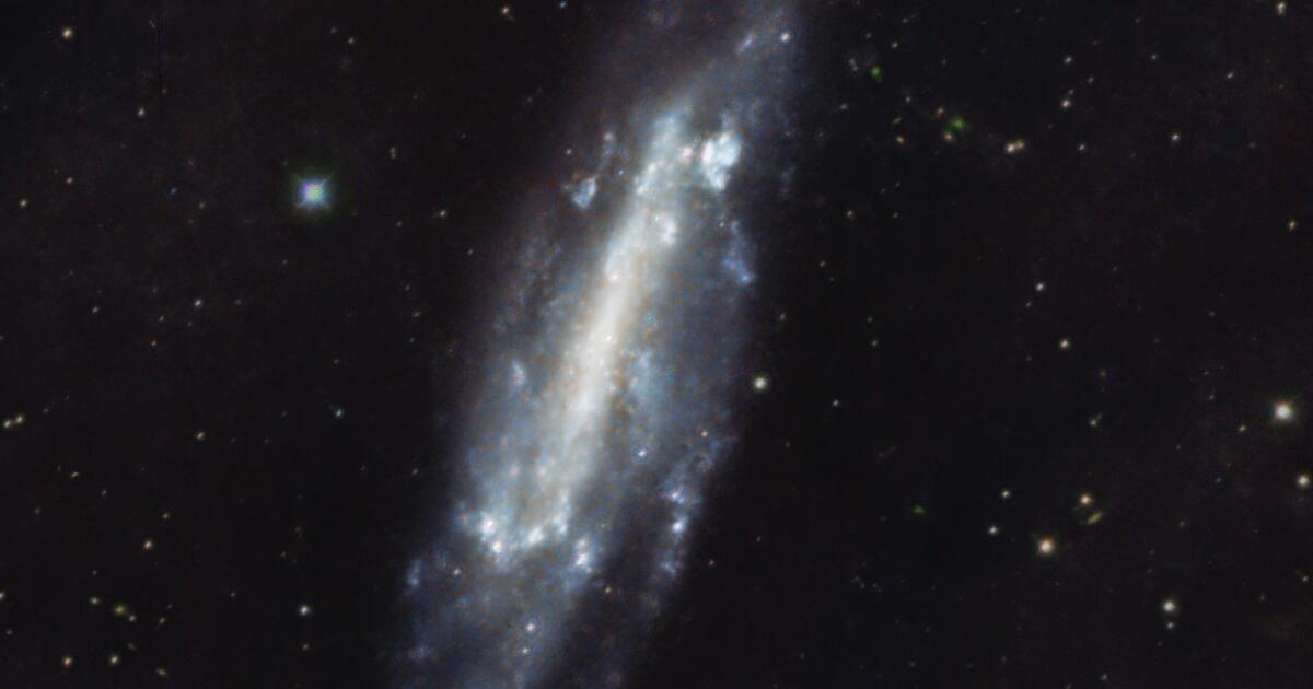 NGC 4236 | Telescope Live