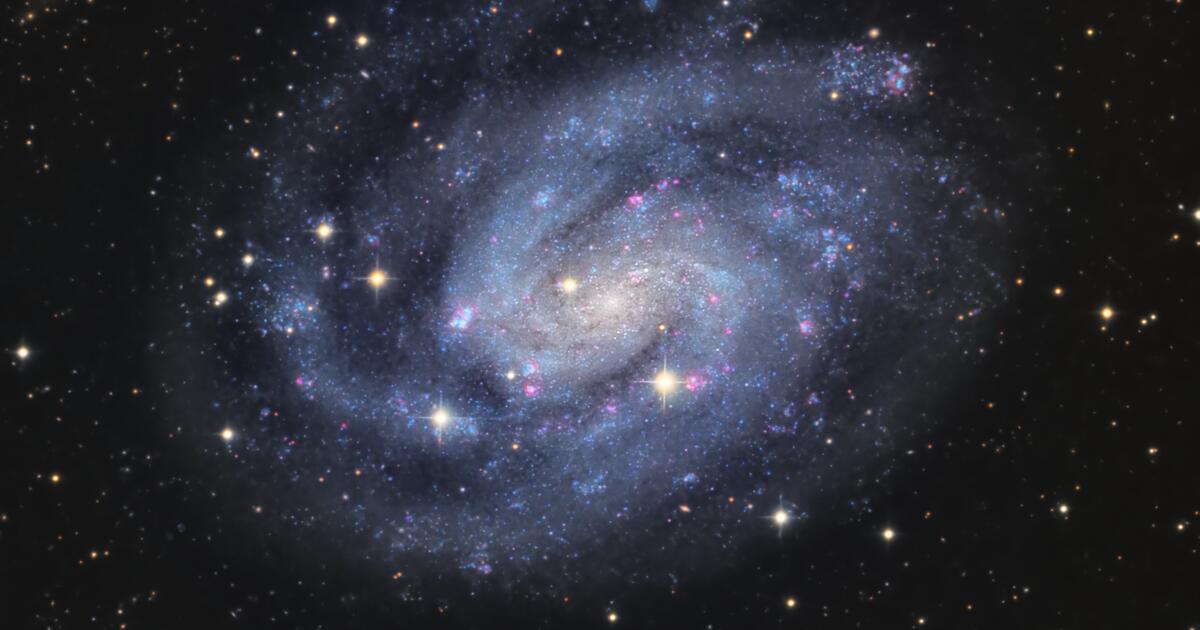 NGC 300 | Telescope Live