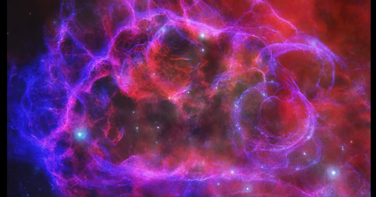 Vela Supernova Remnant Telescope Live