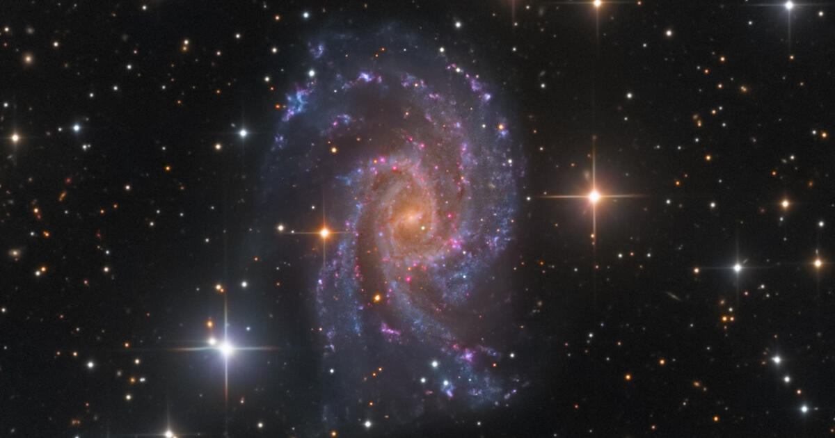 NGC 2835 | Telescope Live