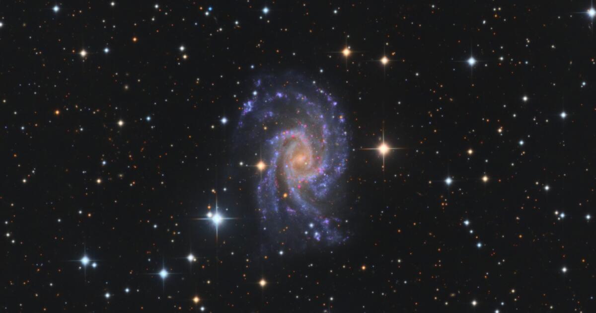 NGC 2835 | Telescope Live