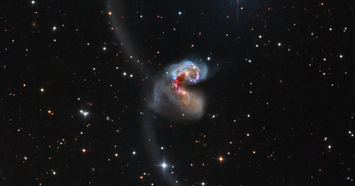 NGC 4038 and NGC 4039 - The Antennae Galaxies | Telescope Live