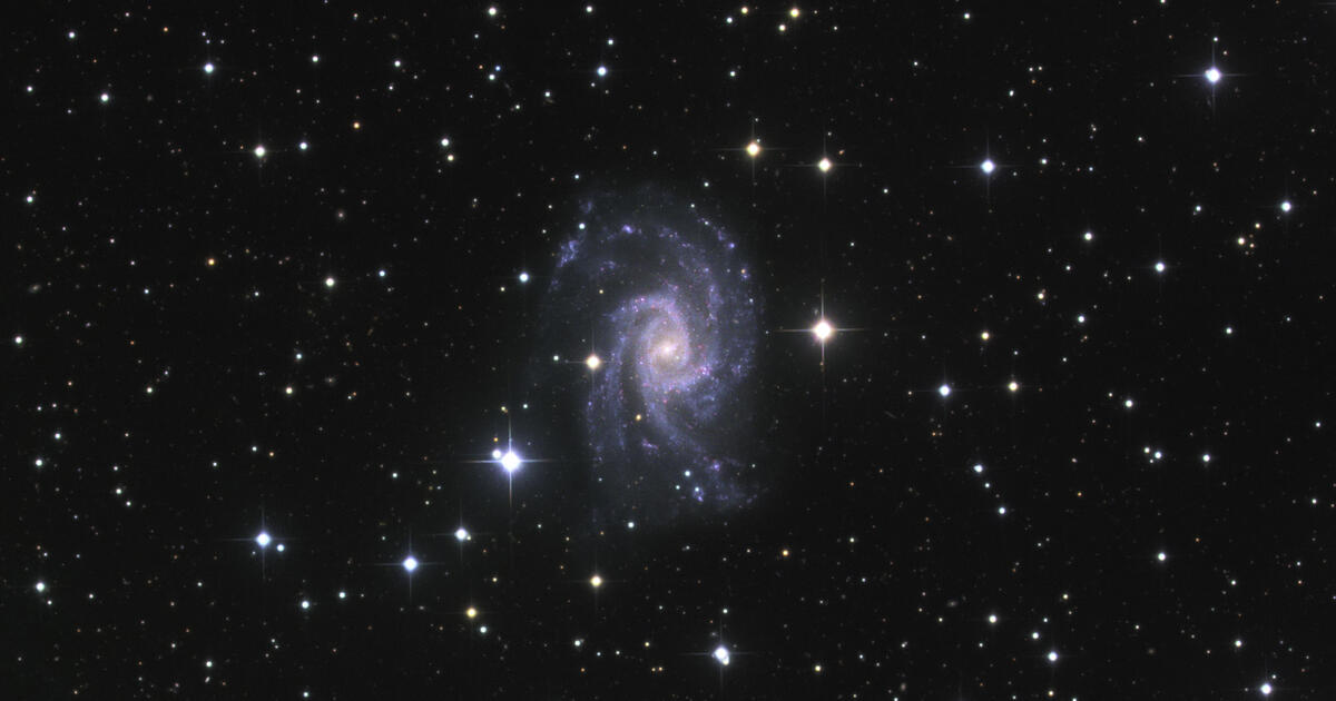 NGC2835 | Telescope Live