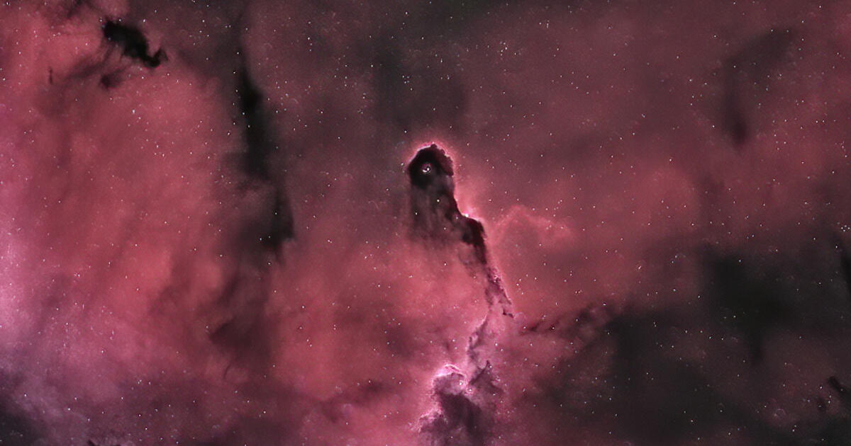 Elephant Trunk Nebula | Telescope Live