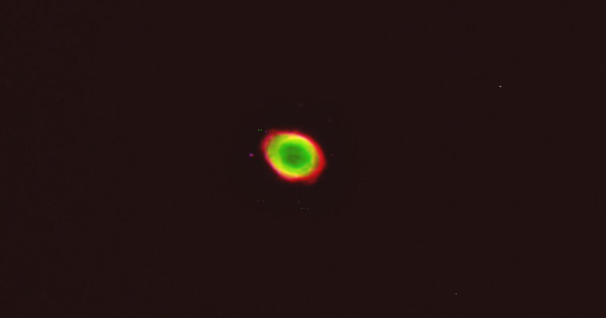RING NEBULA | Telescope Live