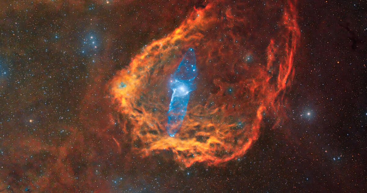 Giant Squid, Flaming Bat | Telescope Live