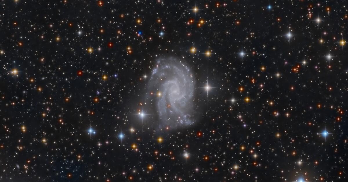 NGC2835 | Telescope Live