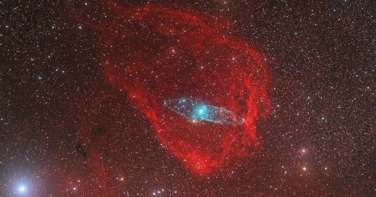 Bat and Squid | Telescope Live