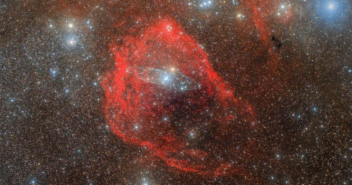 Full Bat & Squid | Telescope Live