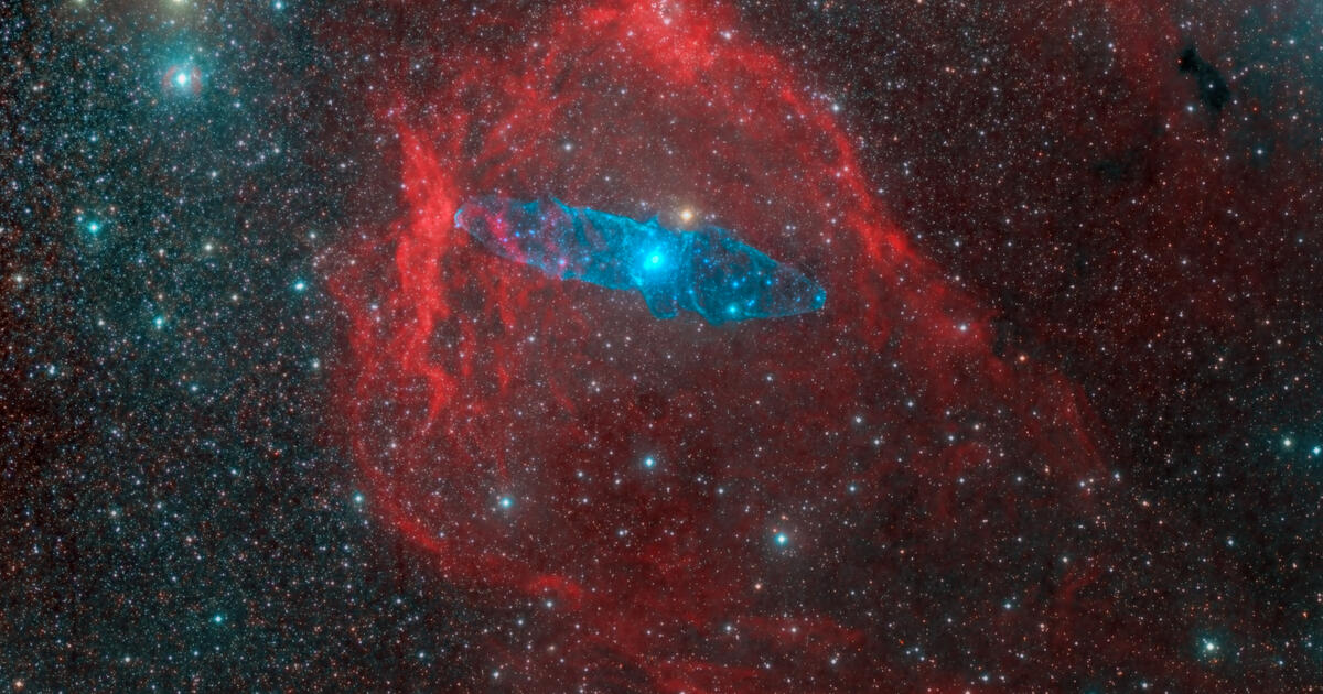 Flying Bat & Squid Nebulae | Telescope Live