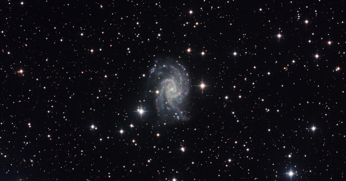 NGC 2835 - Spiral Galaxy in Hydra | Telescope Live