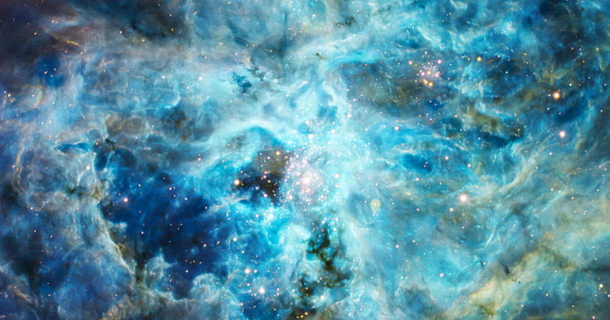 Entangled in the spiders web | Telescope Live