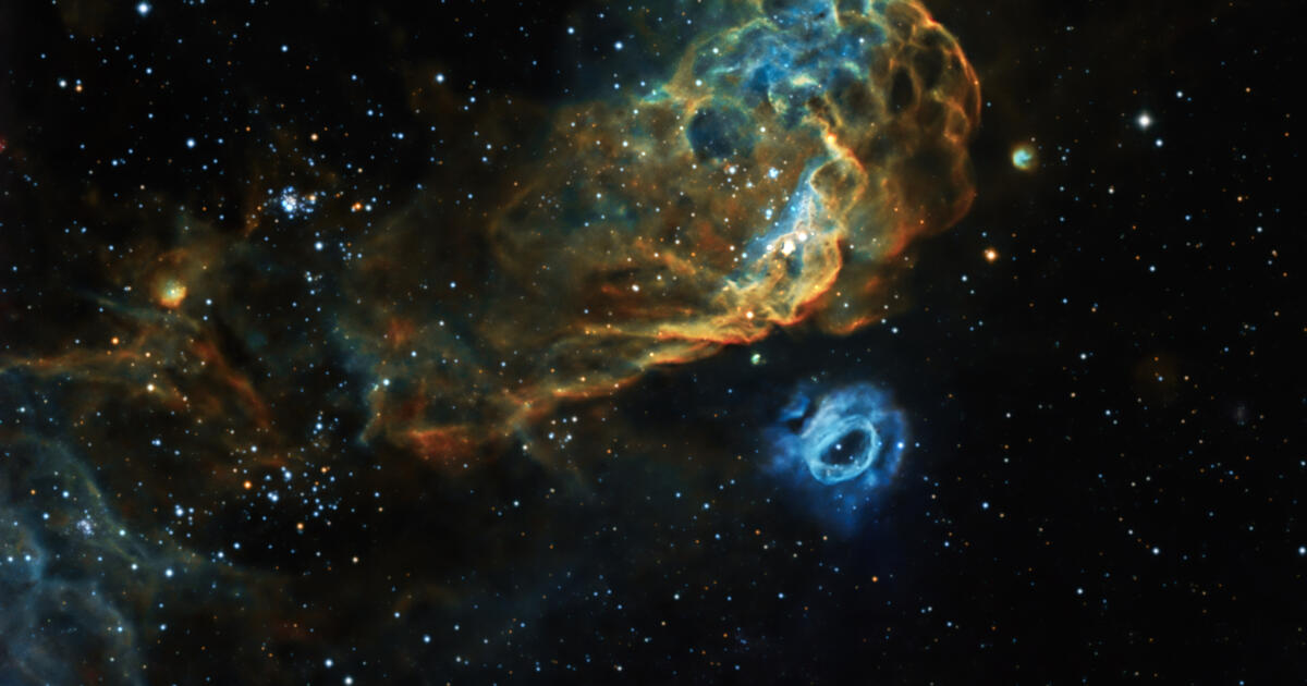 Cosmic Reef NGC 2014 and NGC 2020 | Telescope Live