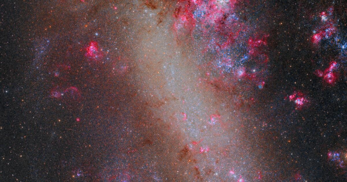 LMC | Telescope Live