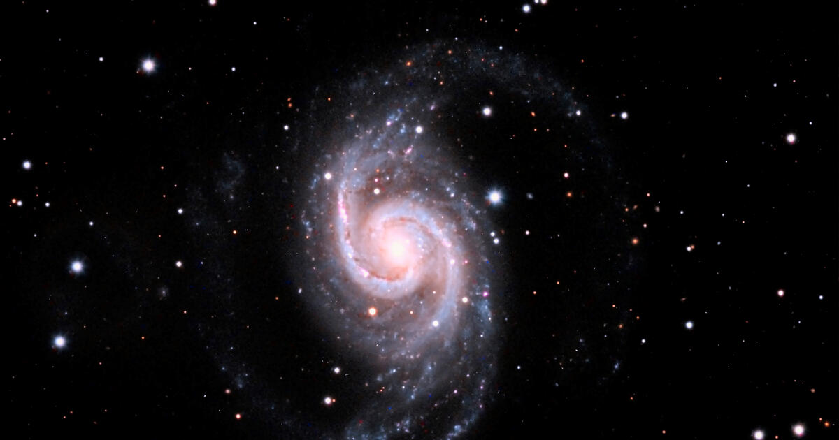 NGC-1566 | Telescope Live