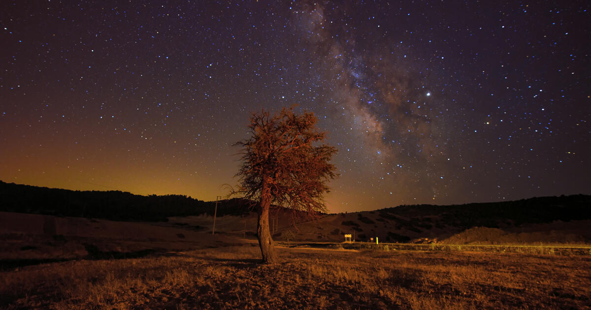 Tree - Stellar Xperiences | Telescope Live
