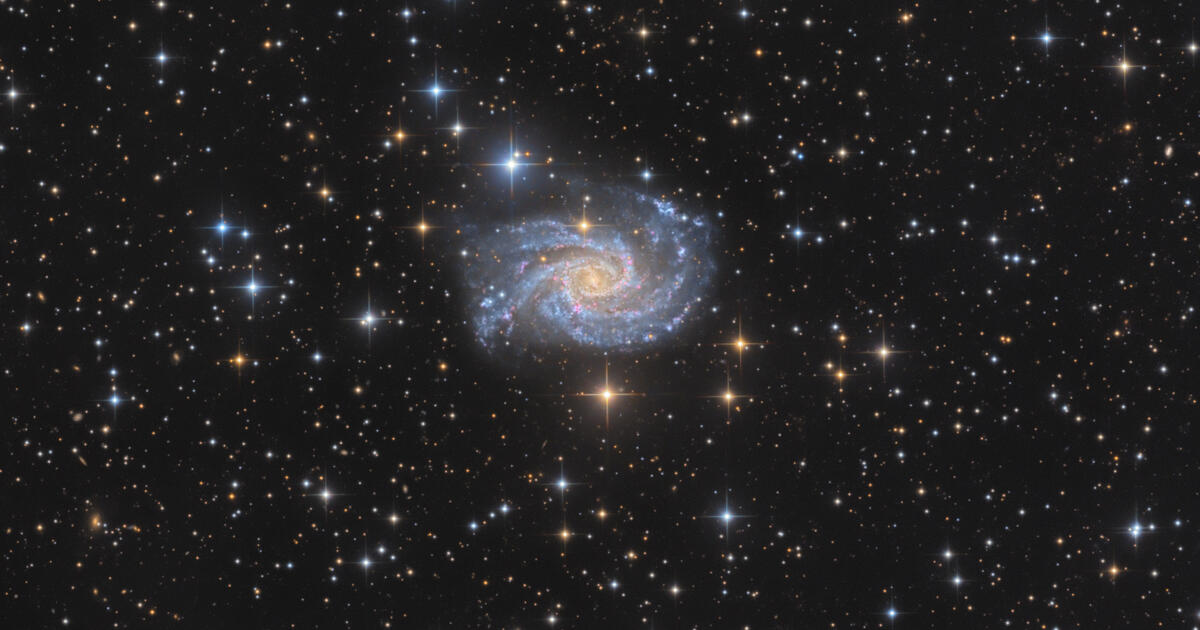 NGC 2835 CHI-1 13h Bundle | Telescope Live