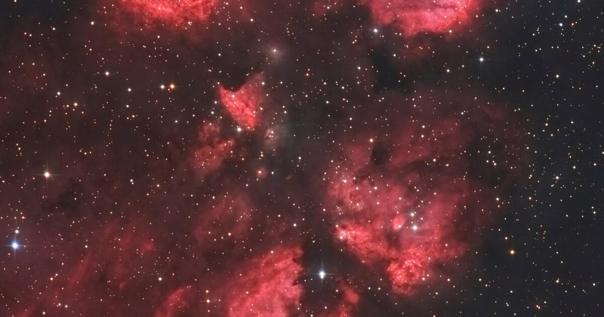 Cat's Paw (NGC 6334) | Telescope Live