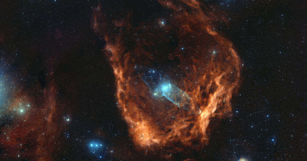 Bat and Squid Nebula | Telescope Live