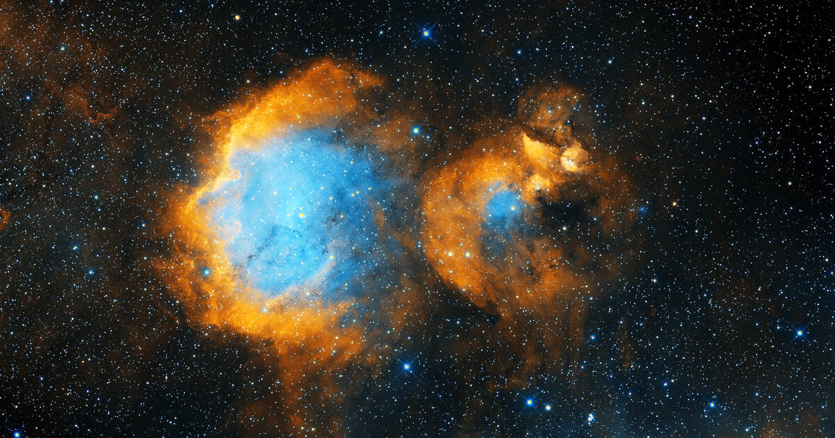 The Head of the Running Chicken | Telescope Live