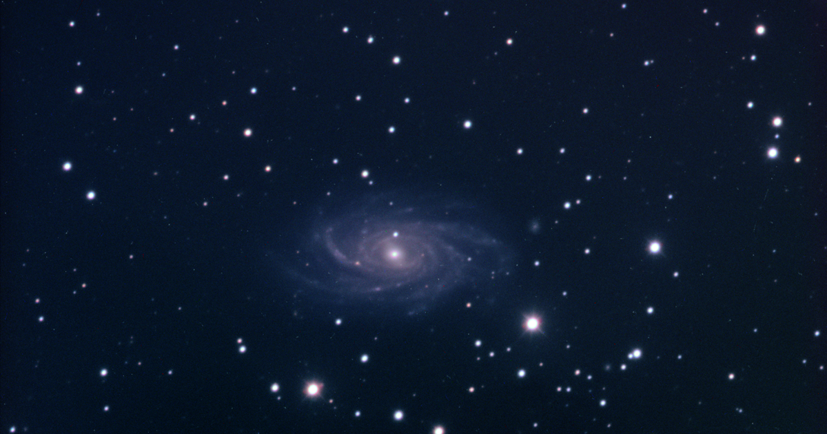 NGC 2336 | Telescope Live