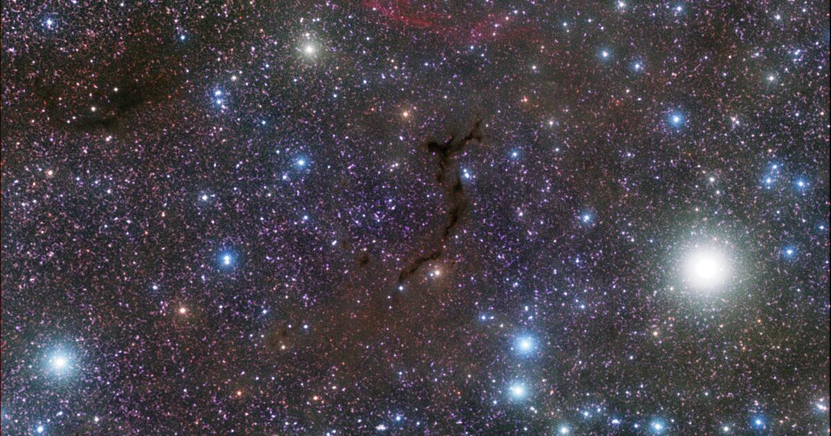 Barnard 150 - Seahorse Nebula | Telescope Live