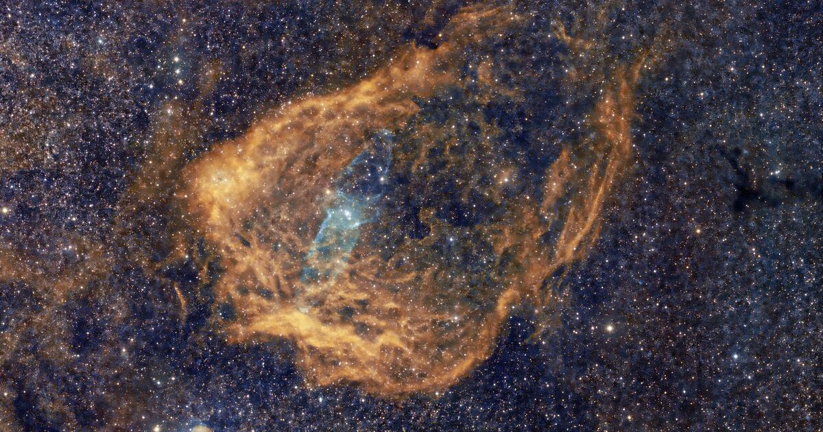 Sh2-129 Flying Bat and Ou4 Squid Nebulae | Telescope Live