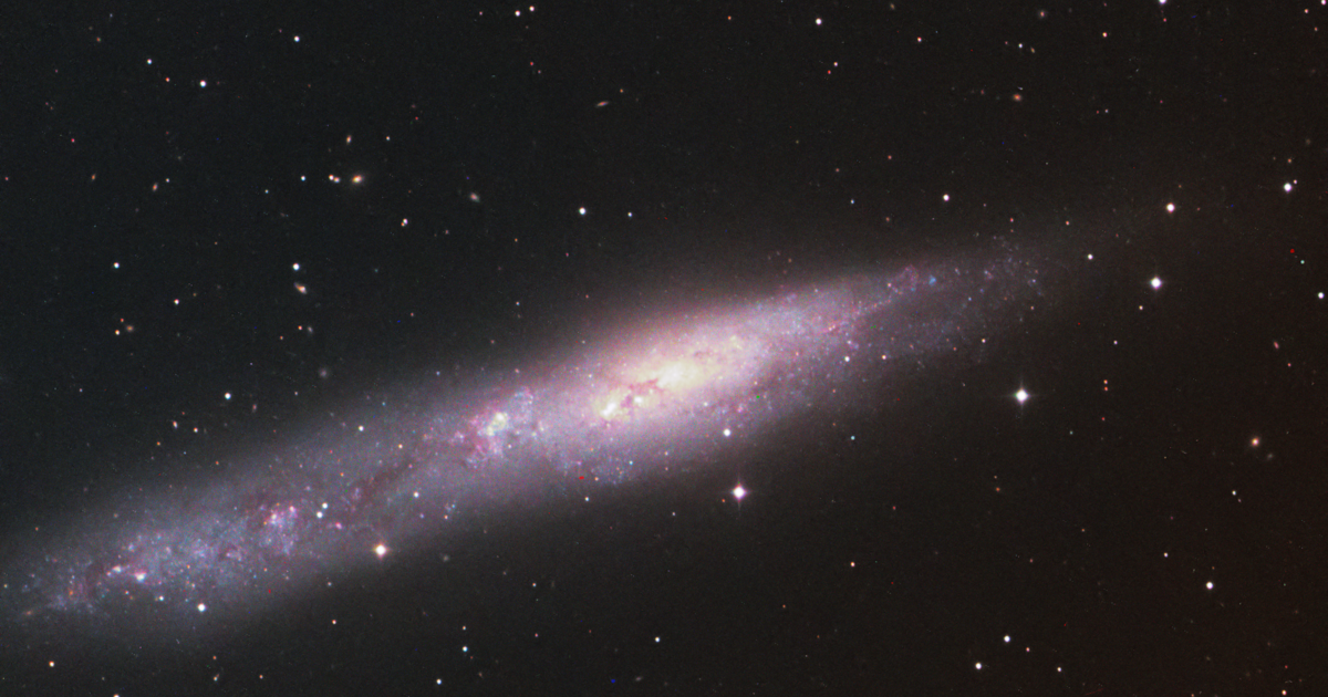 NGC 55 | Telescope Live