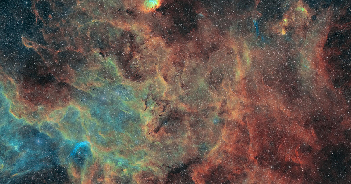 The Swan's Tulip | Telescope Live