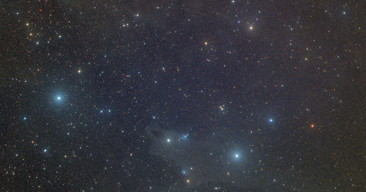 Dark Shark | Telescope Live