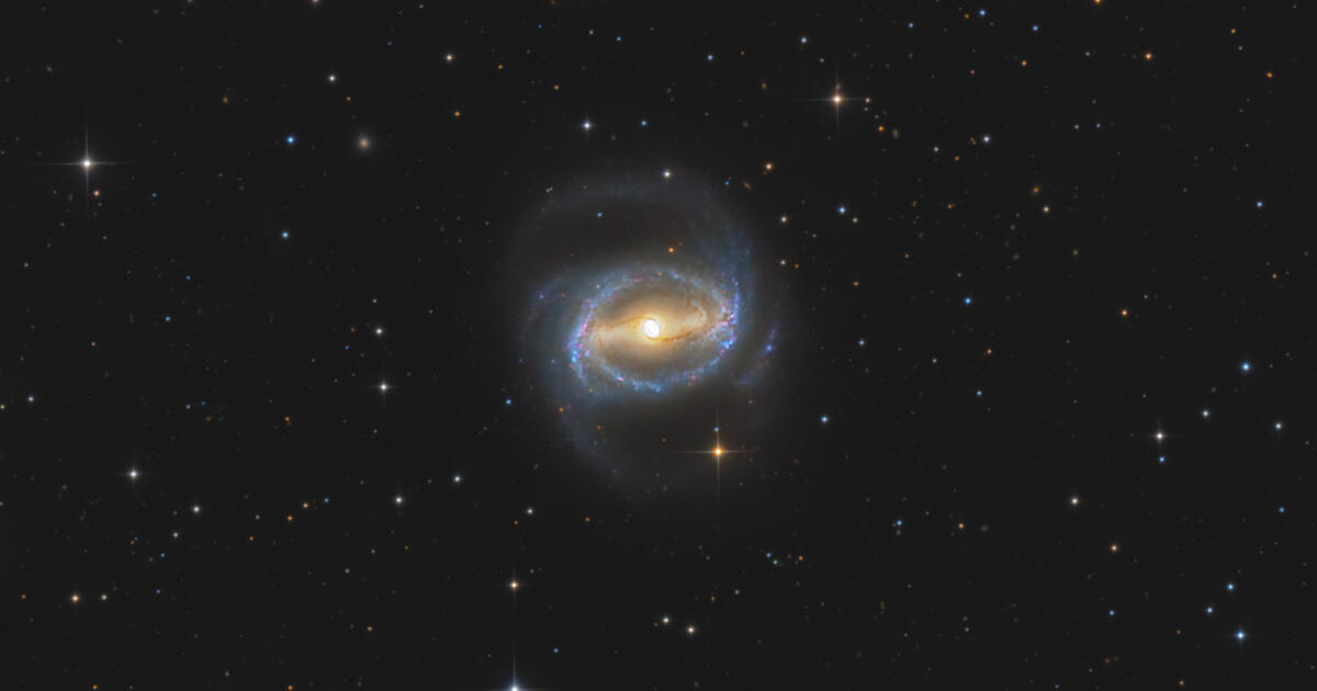 NGC 1433 CHI-1 Bundle | Telescope Live