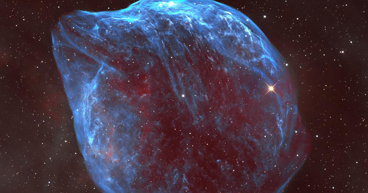 The Dolphin Head Nebula | Telescope Live