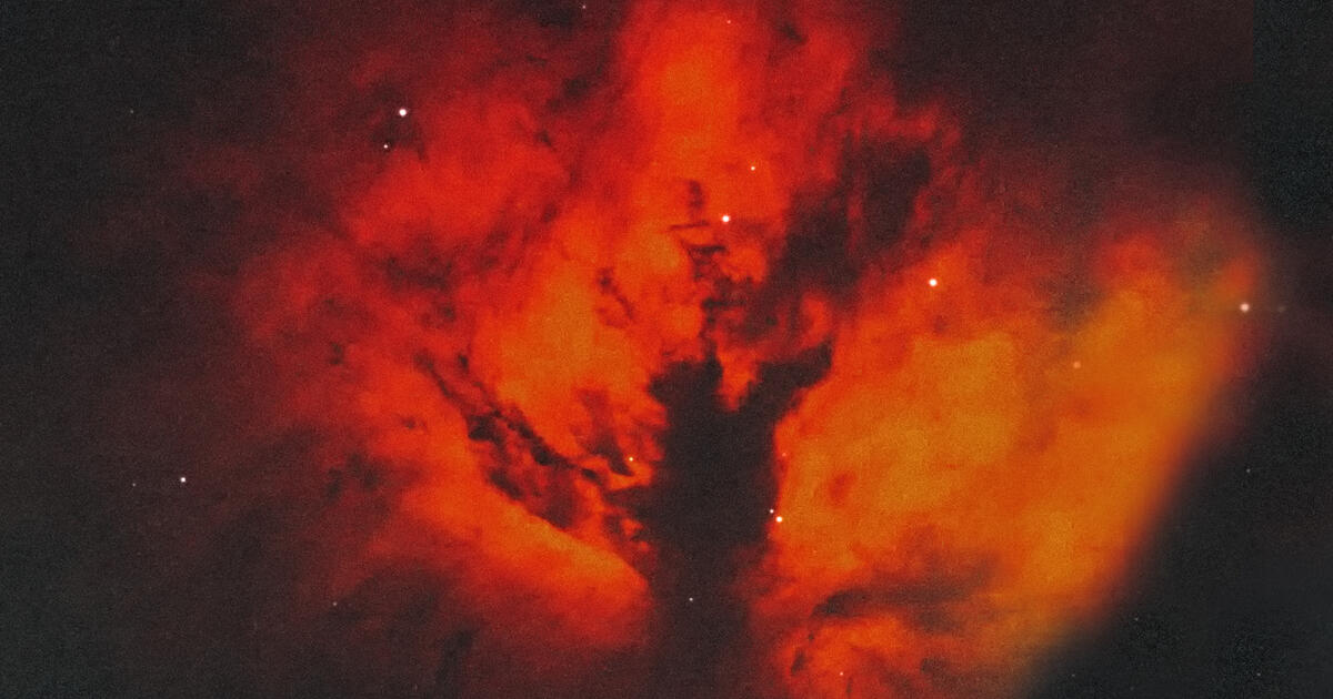 Flame Nebula | Telescope Live