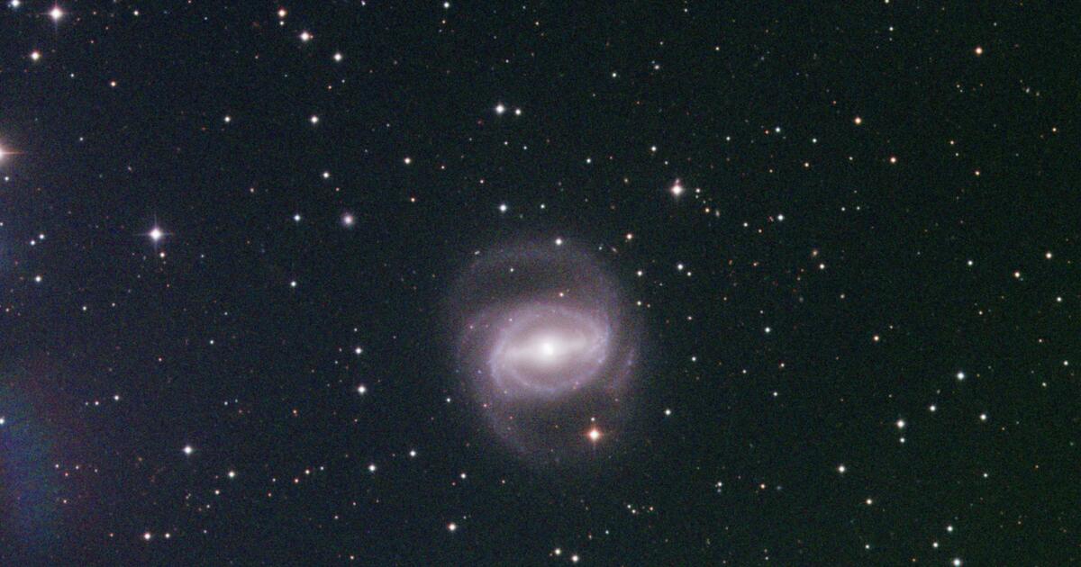 NGC 1433 | Telescope Live