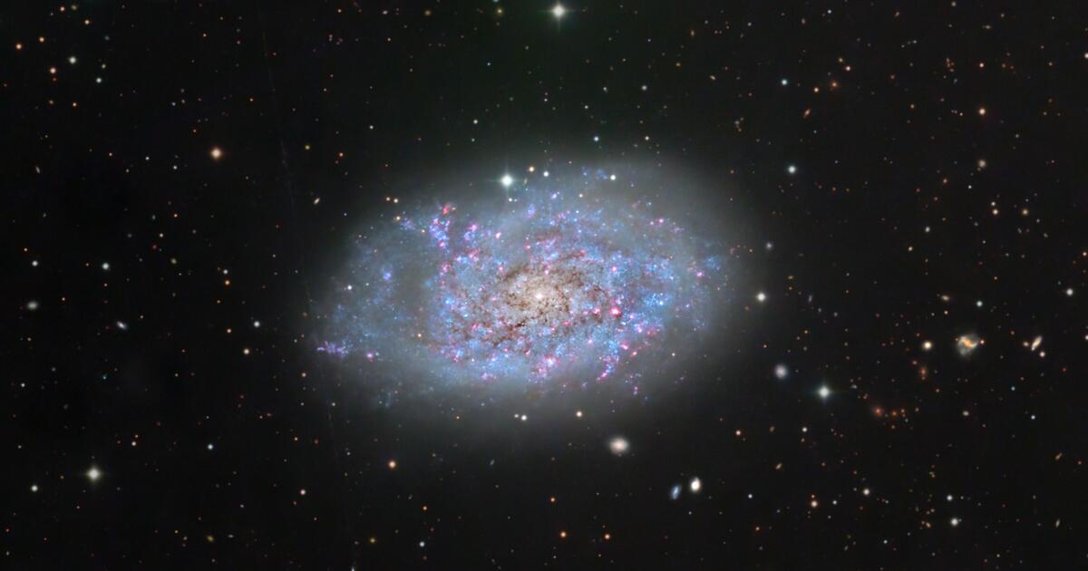 NGC7793 | Telescope Live