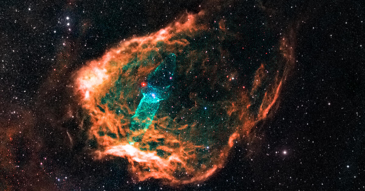 The Giant Squid and Flying Bat Nebula | Telescope Live