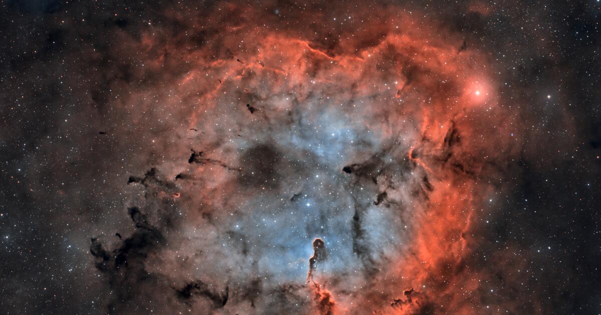 Elephants Trunk Nebula SHO SPA-3 | Telescope Live